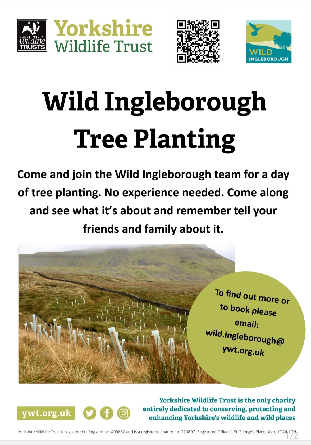 Yorkshire Wildlife Trust - Tree Planting - Malhamdale